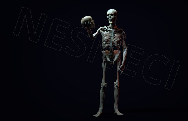 Zombie skeleton 4k rig 3D - TurboSquid 1249002