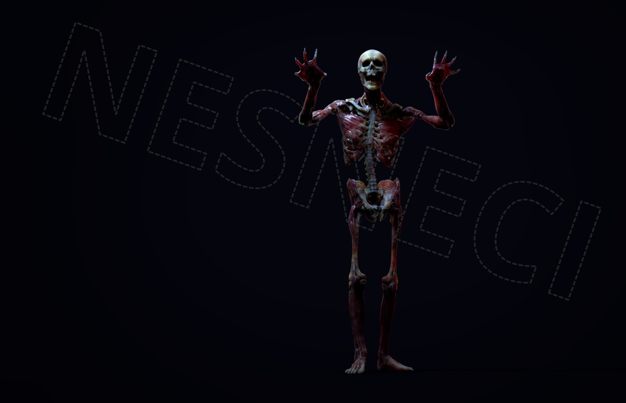 Zombie skeleton 4k rig 3D - TurboSquid 1249002