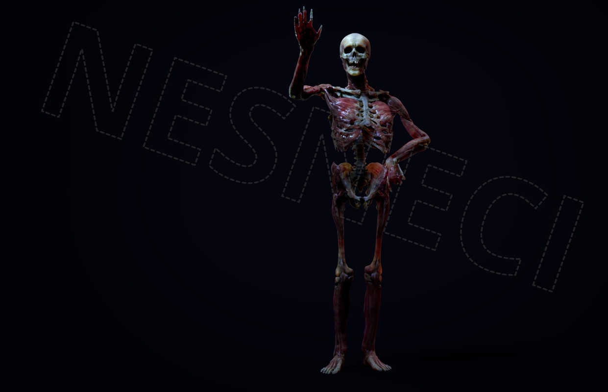 Zombie skeleton 4k rig 3D - TurboSquid 1249002