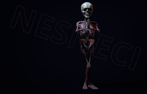 Zombie skeleton 4k rig 3D - TurboSquid 1249002