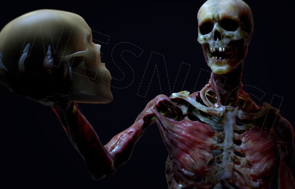 birchbark canoe 3d max