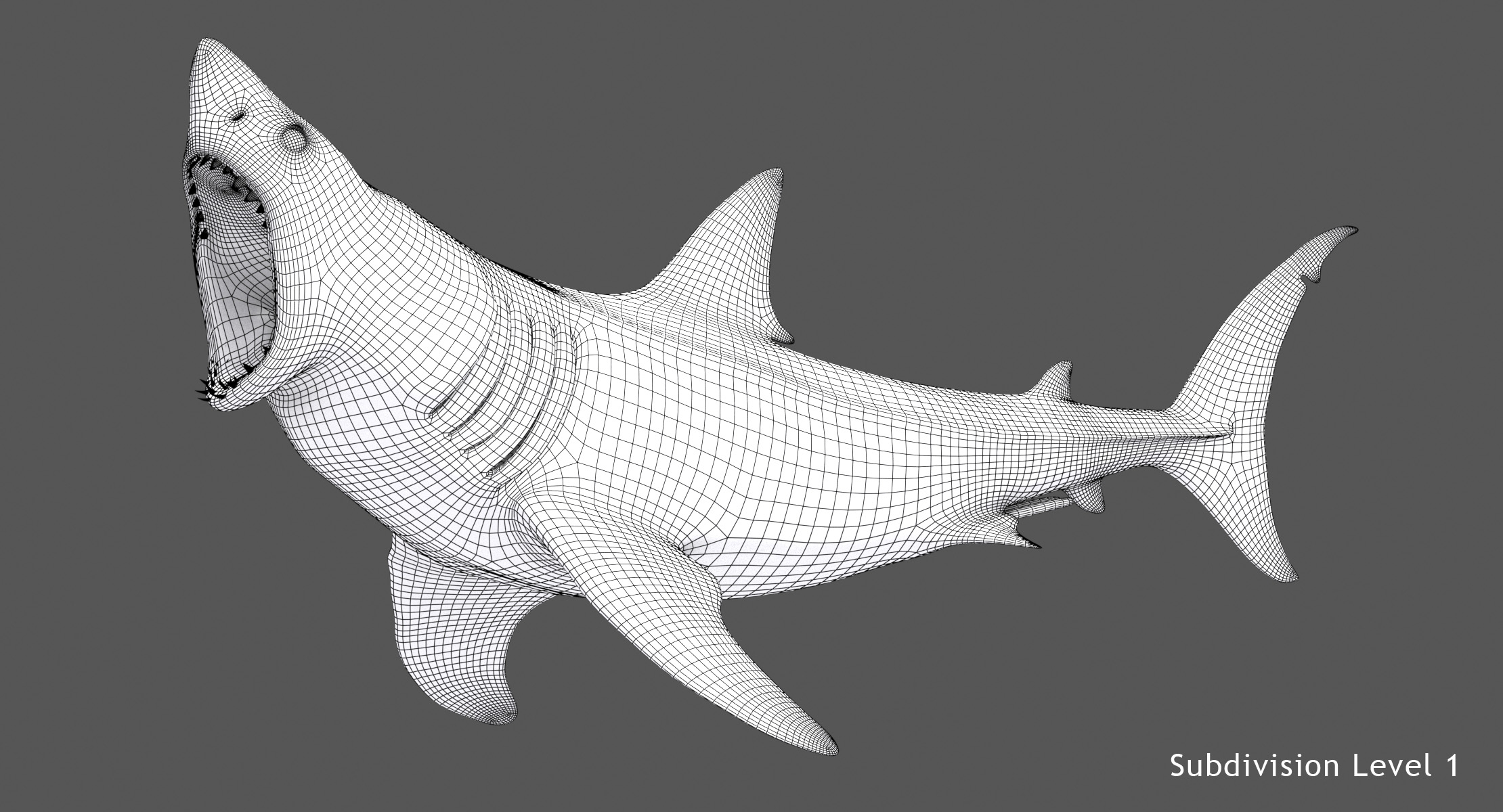 Weißer Hai animiert 3D-Modell - TurboSquid 1245522