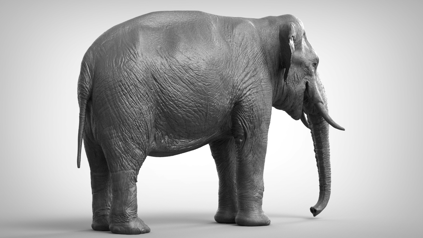3D elephant asian - TurboSquid 1249618