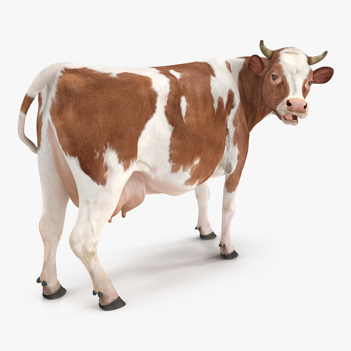 Cow rigged model - TurboSquid 1250232