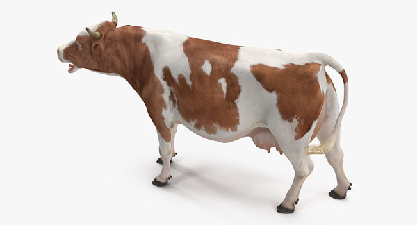 Cow rigged model - TurboSquid 1250232