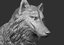 Wolf 3D model - TurboSquid 1250838