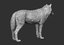 Wolf 3D model - TurboSquid 1250838