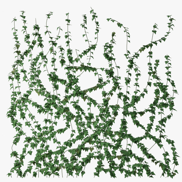 3D Vines Models | TurboSquid