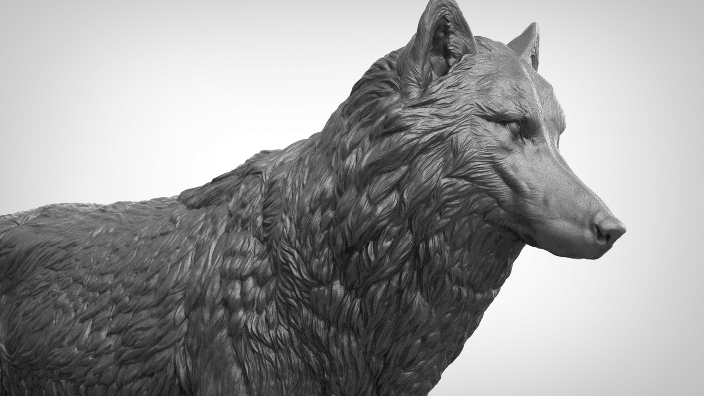 Wolf 3D model - TurboSquid 1250838