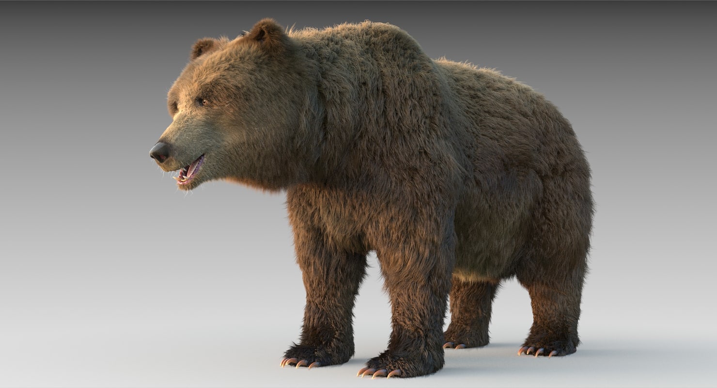 3D grizzly bear fur model - TurboSquid 1251206