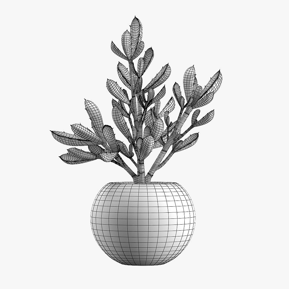 3D plant pot model - TurboSquid 1251833