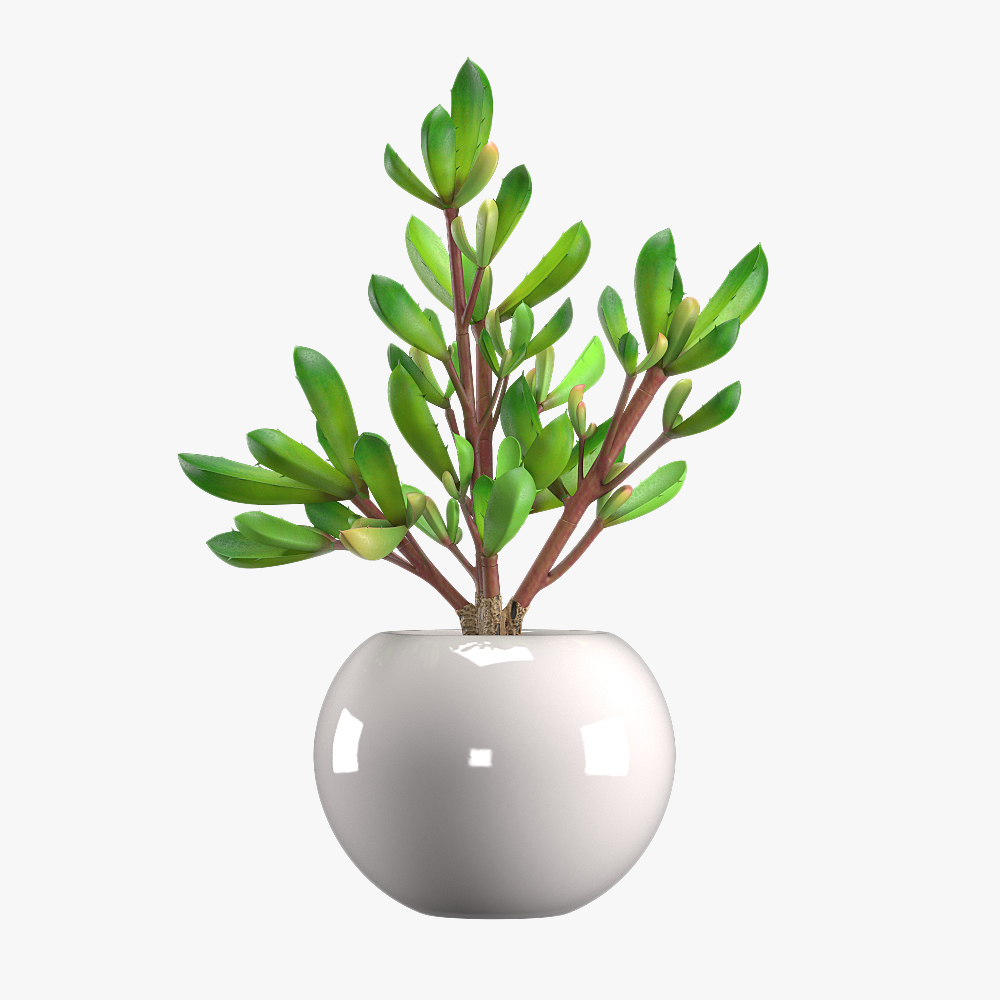 3D plant pot model - TurboSquid 1251833