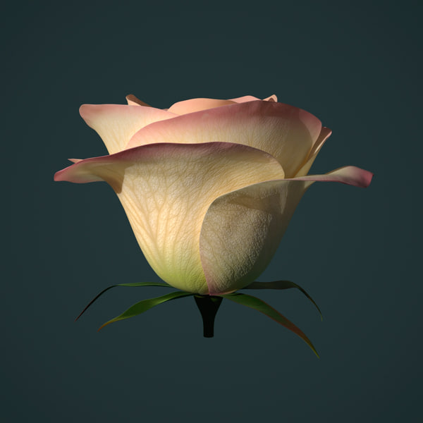 3D rose animation - TurboSquid 1252440