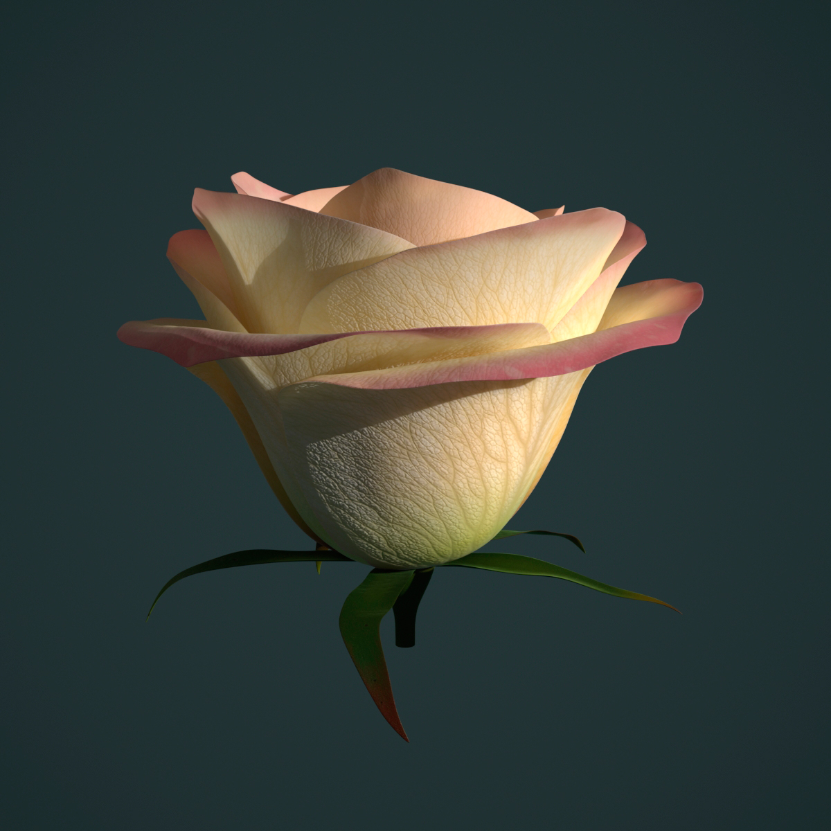 3D rose animation - TurboSquid 1252440