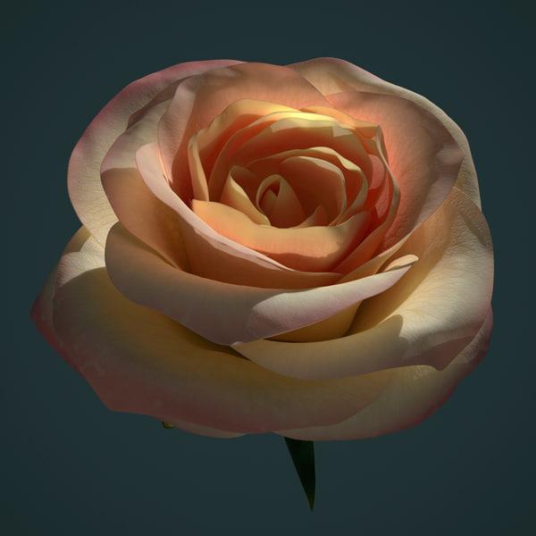 3D rose animation - TurboSquid 1252440