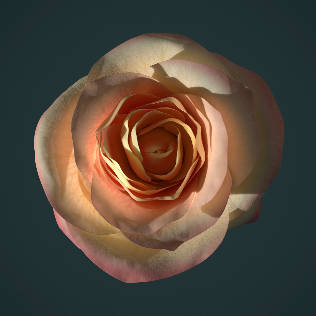 3D rose animation - TurboSquid 1252440