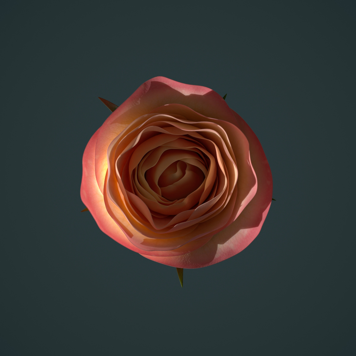 3D rose animation - TurboSquid 1252440