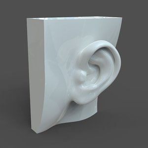 Ear 3D Models for Download | TurboSquid