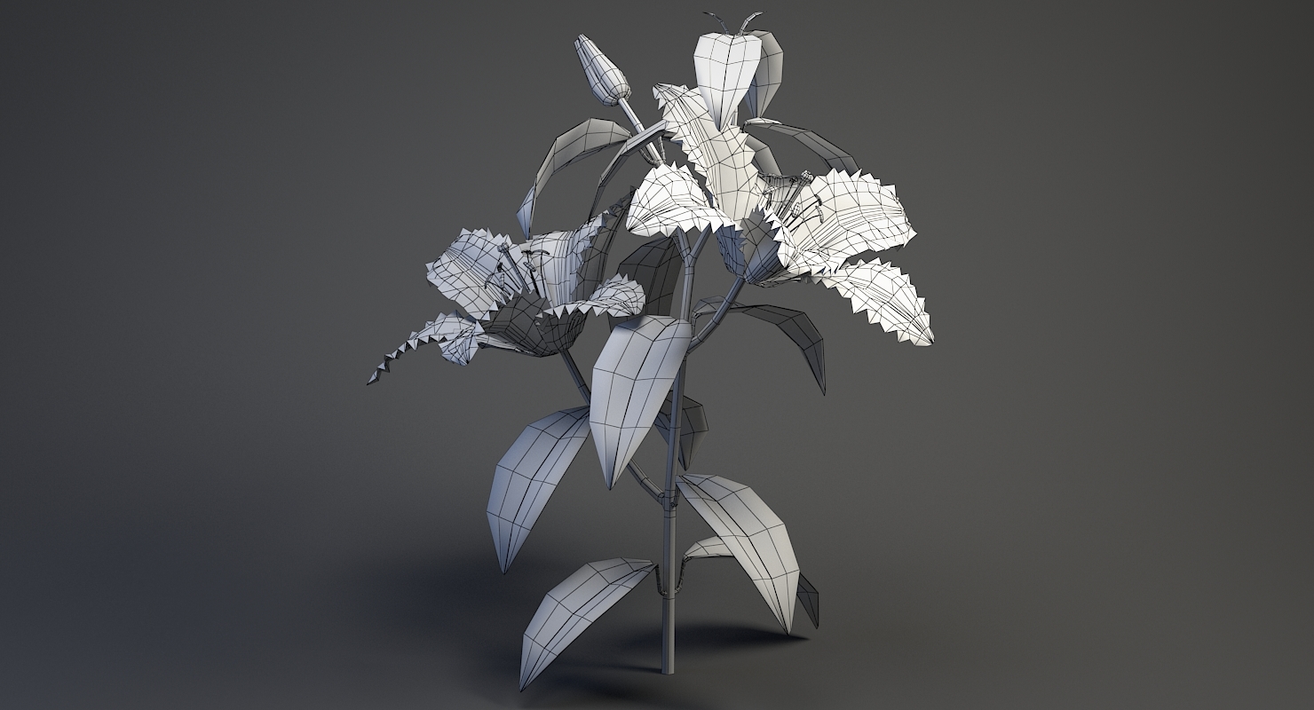 3D realistic pink lily flower model - TurboSquid 1252626