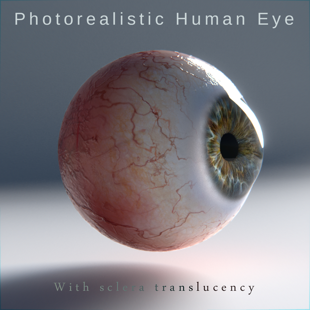 3d model of human eye