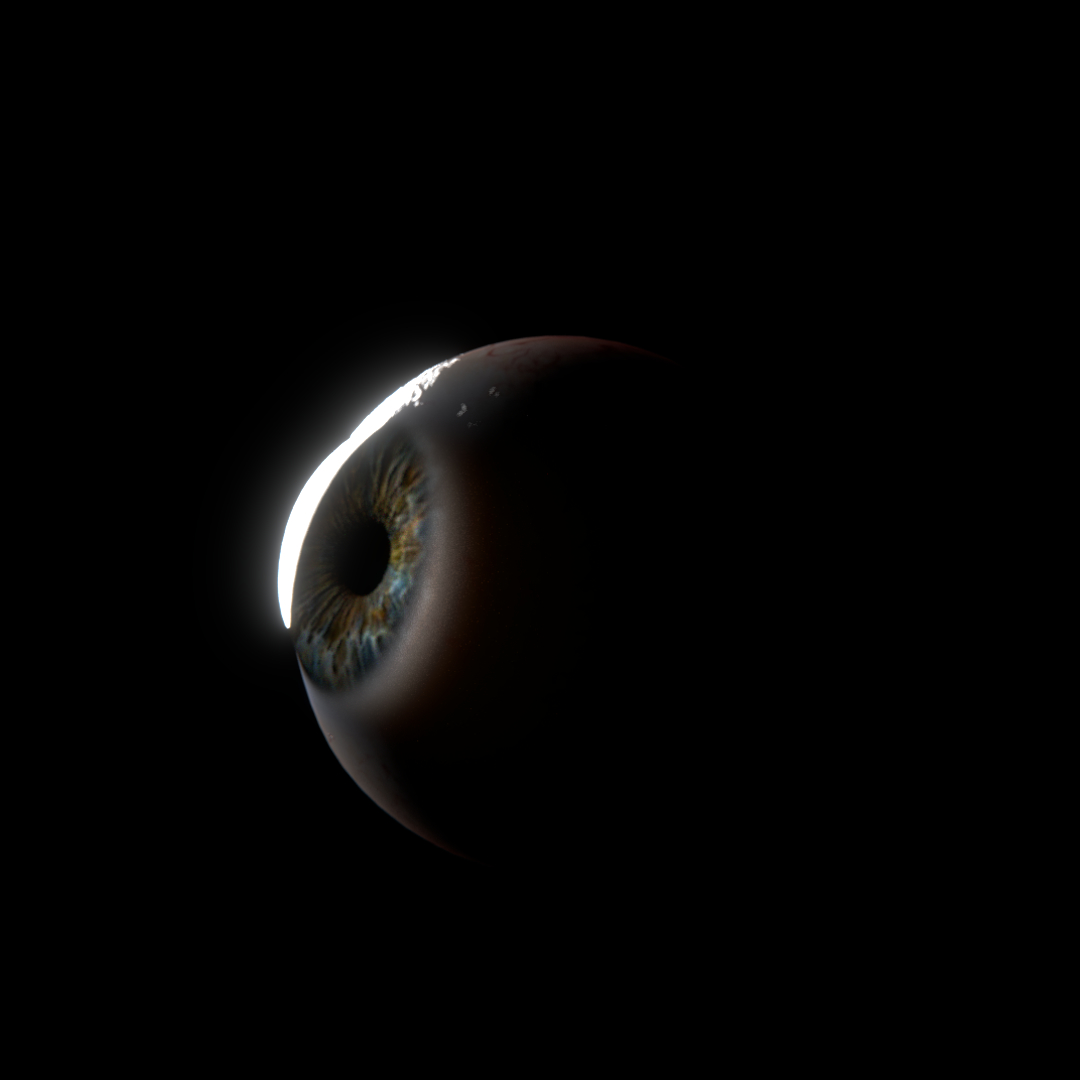 3d model of human eye