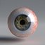3d model of human eye