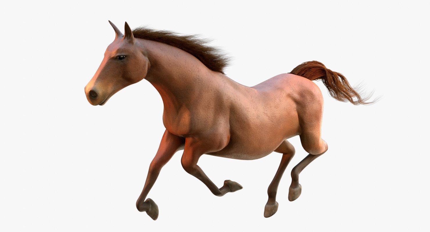 modelo 3d Caballo animado - TurboSquid 1253053