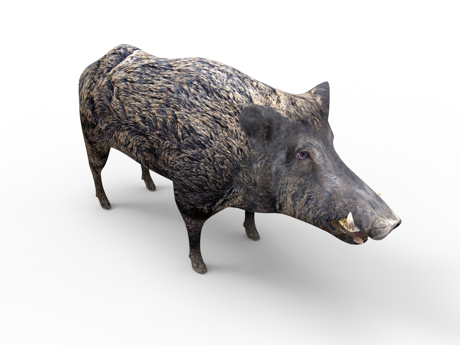 3D model wild boar rigged animation - TurboSquid 1253208