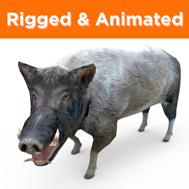 Wild boar rigged animation model - TurboSquid 1253535