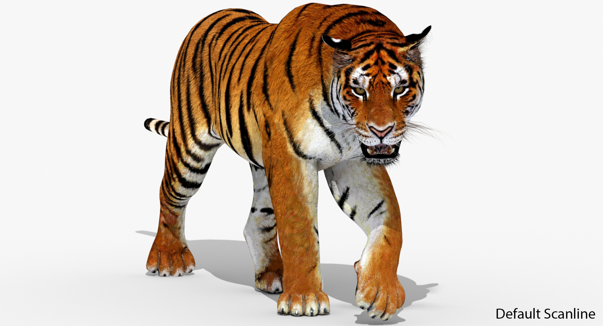 3D tiger animation - TurboSquid 1252636