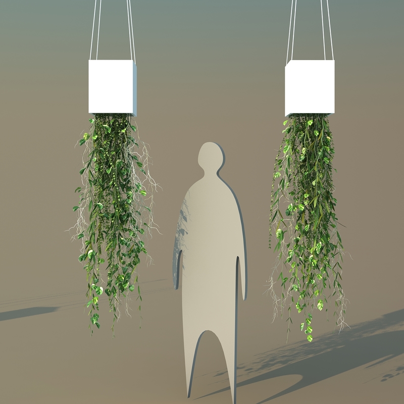 3D 2 plants tree - TurboSquid 1254312