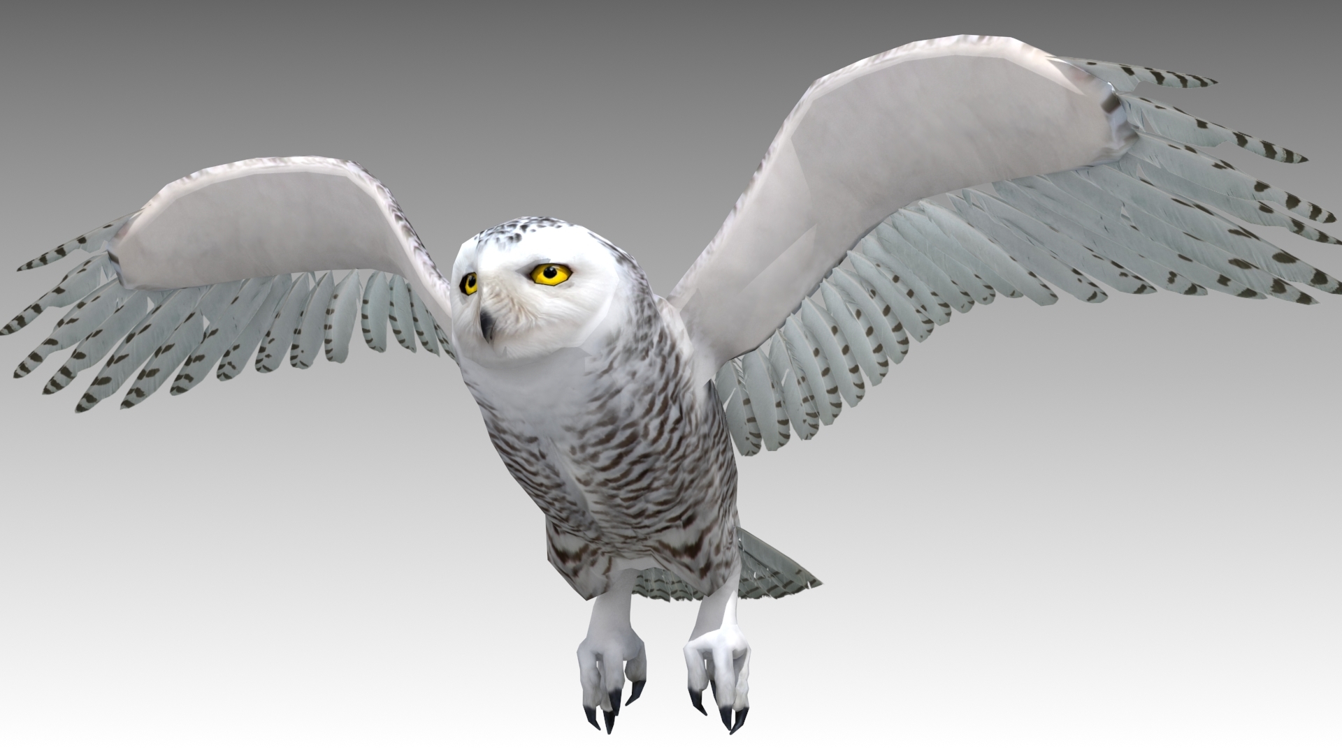 3D snowy owl - TurboSquid 1254421