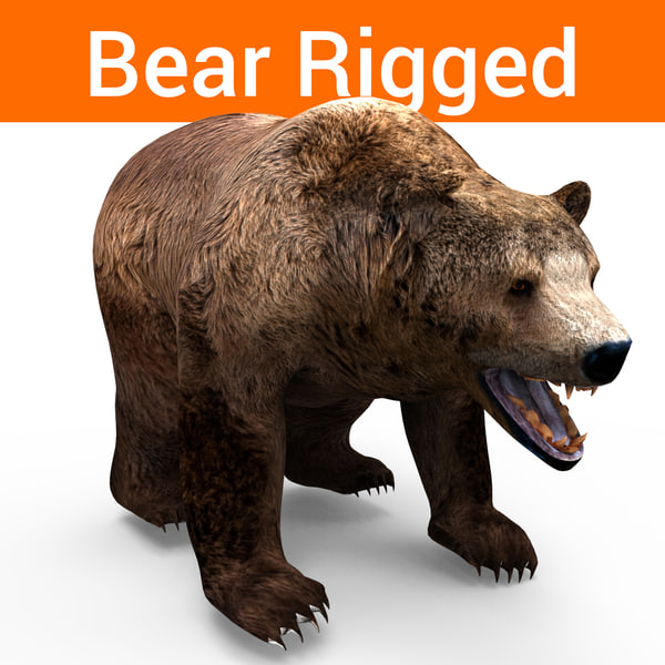 Bear Blender Models for Download | TurboSquid