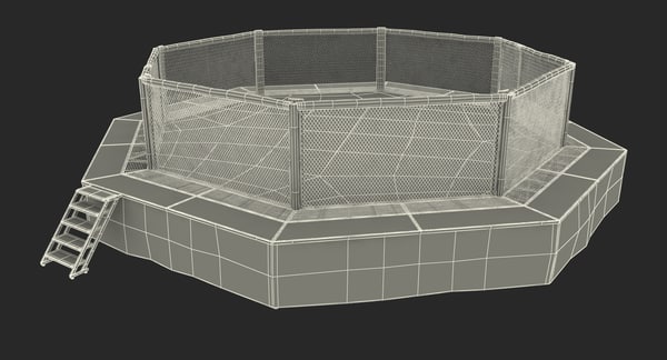 Ufc fighting arena 3D model - TurboSquid 1255813