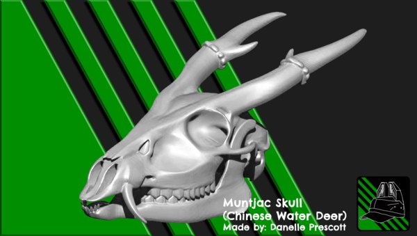 Animal Skull STL Models for Download | TurboSquid