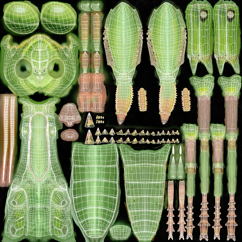 3D model mantis religiosa large hemimetabolic - TurboSquid 1258131