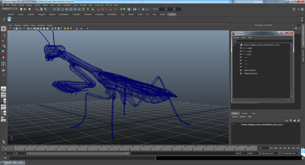 3D model mantis religiosa large hemimetabolic - TurboSquid 1258131