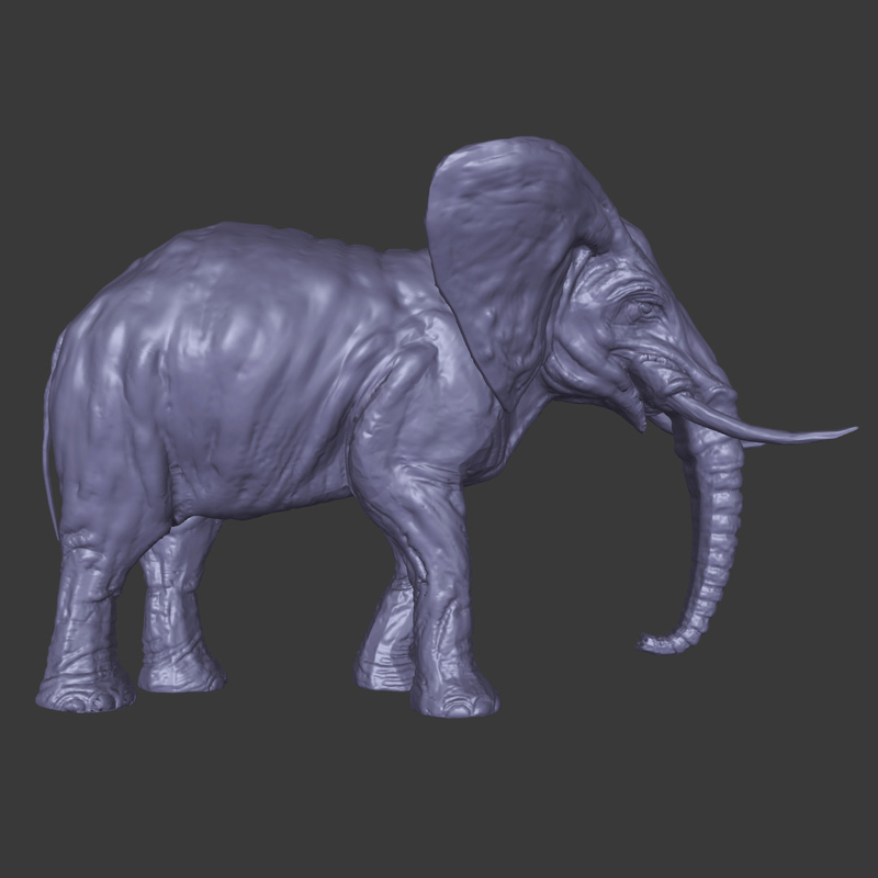 3D model african elephant - TurboSquid 1253200