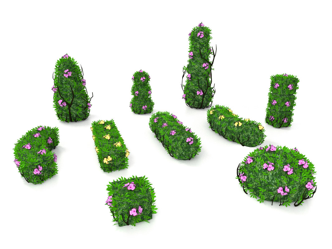 Game bush bushes flowers