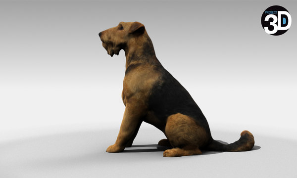 3d model dog