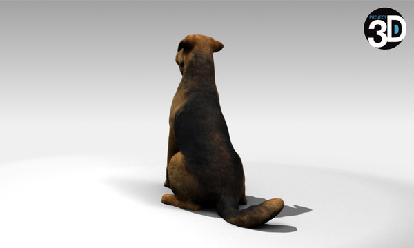3d model dog