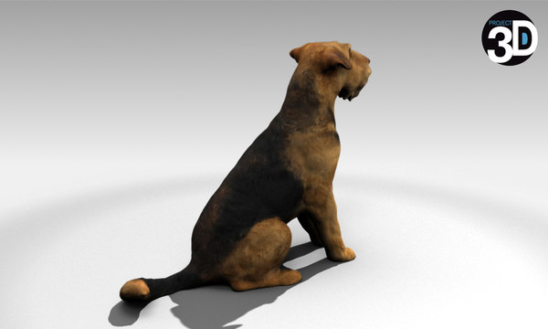 3d model dog