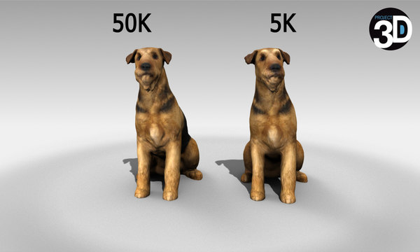 3d model dog
