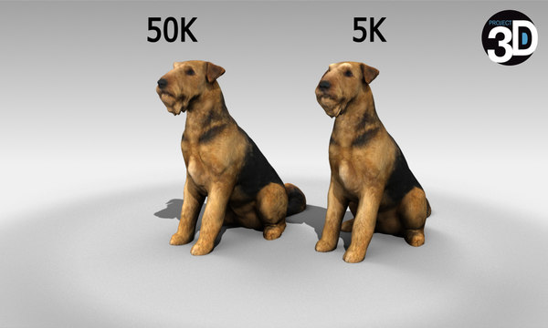 3d model dog