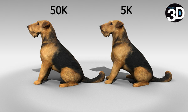 3d model dog