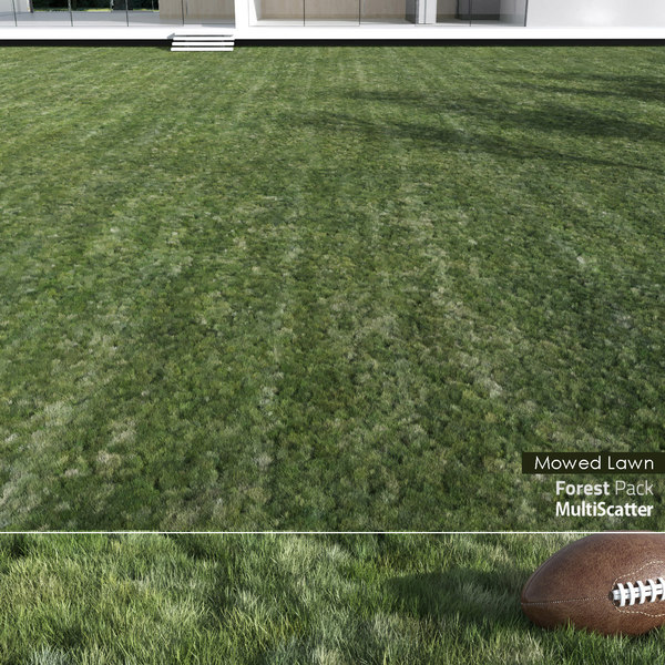 real-time lawn grass 3d model