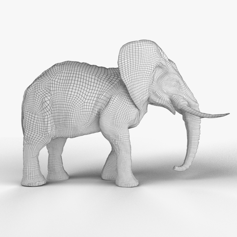 3D model african elephant - TurboSquid 1253200
