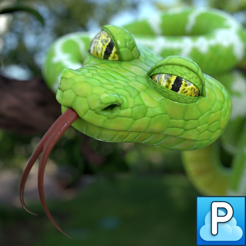 3d model cartoon emerald boa
