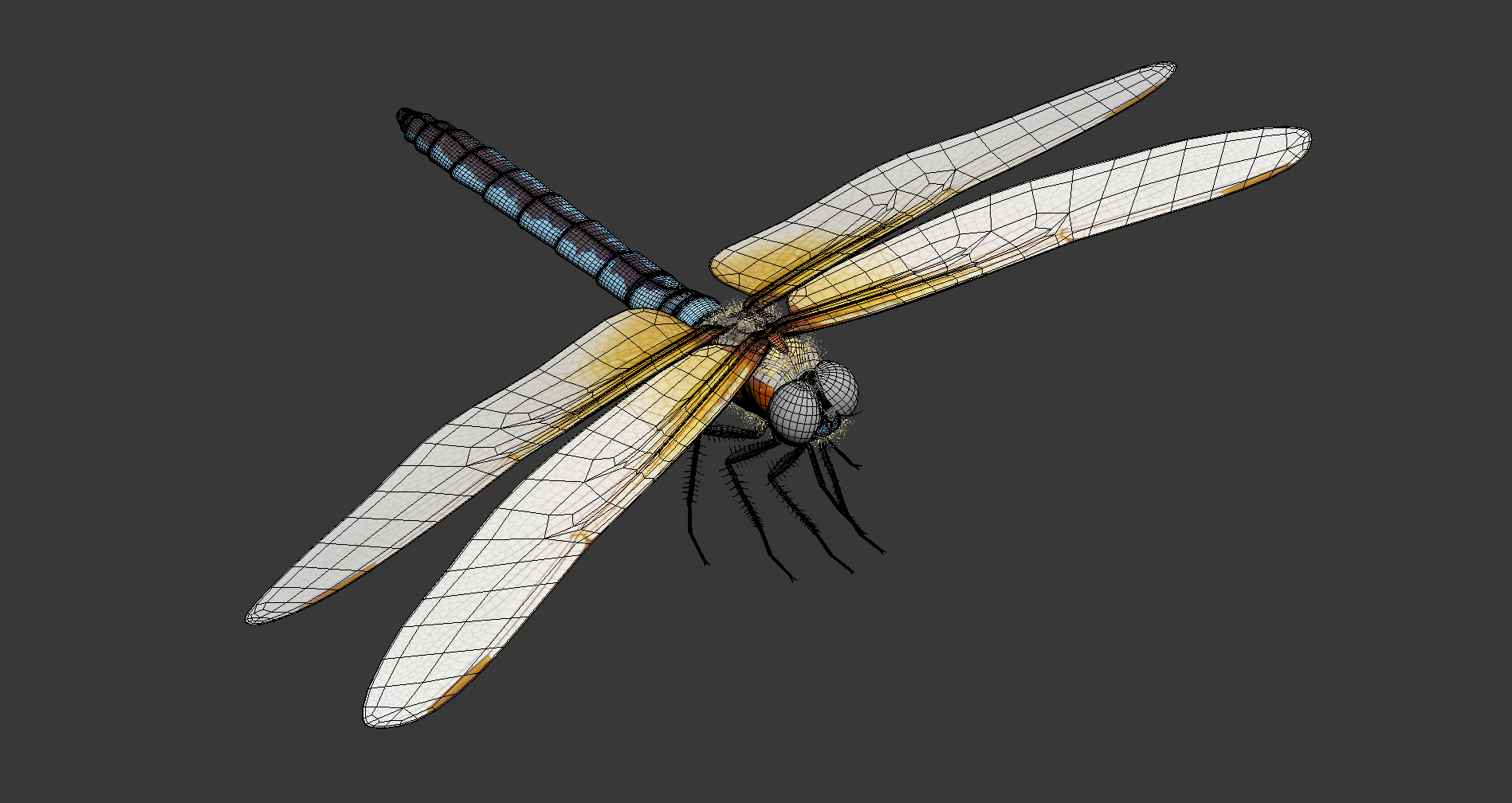 dragonfly animation 3d model