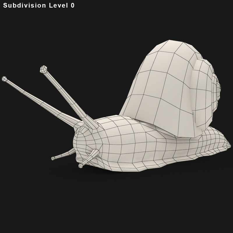 3d model snail